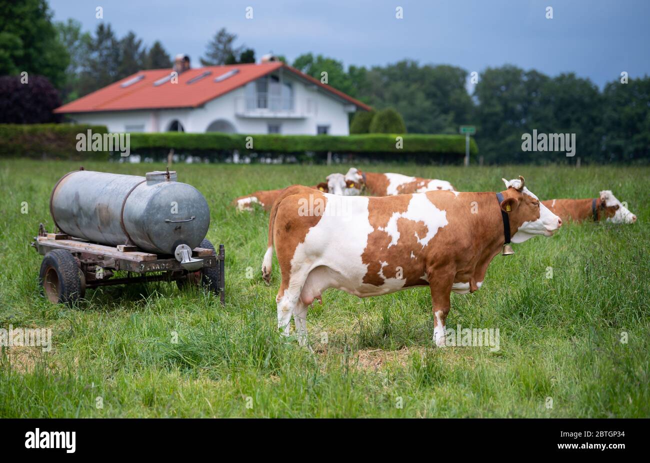 With wife regina hi-res stock photography and images - Alamy