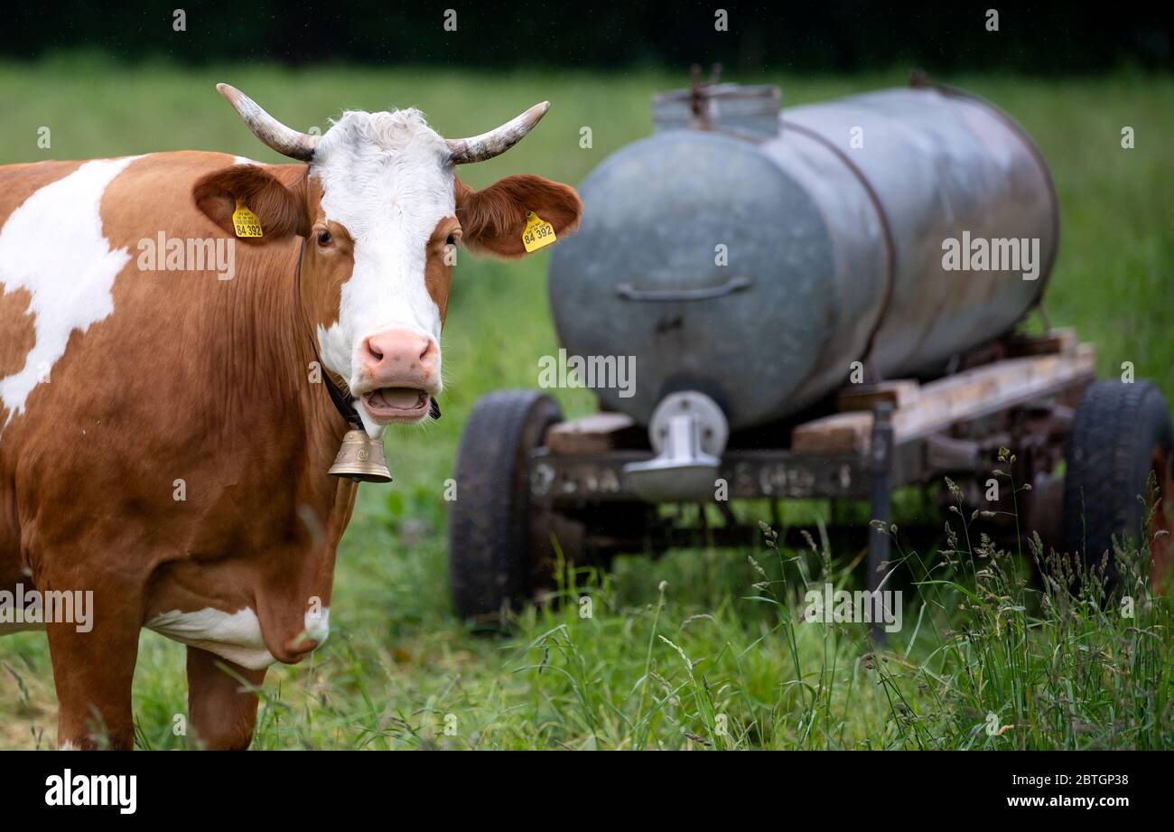 With wife regina hi-res stock photography and images - Alamy