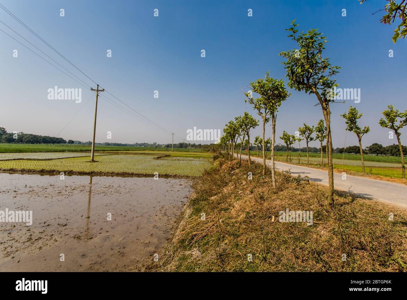 Spectacular water droplets on flowers and leaves Stock Photo - Alamy