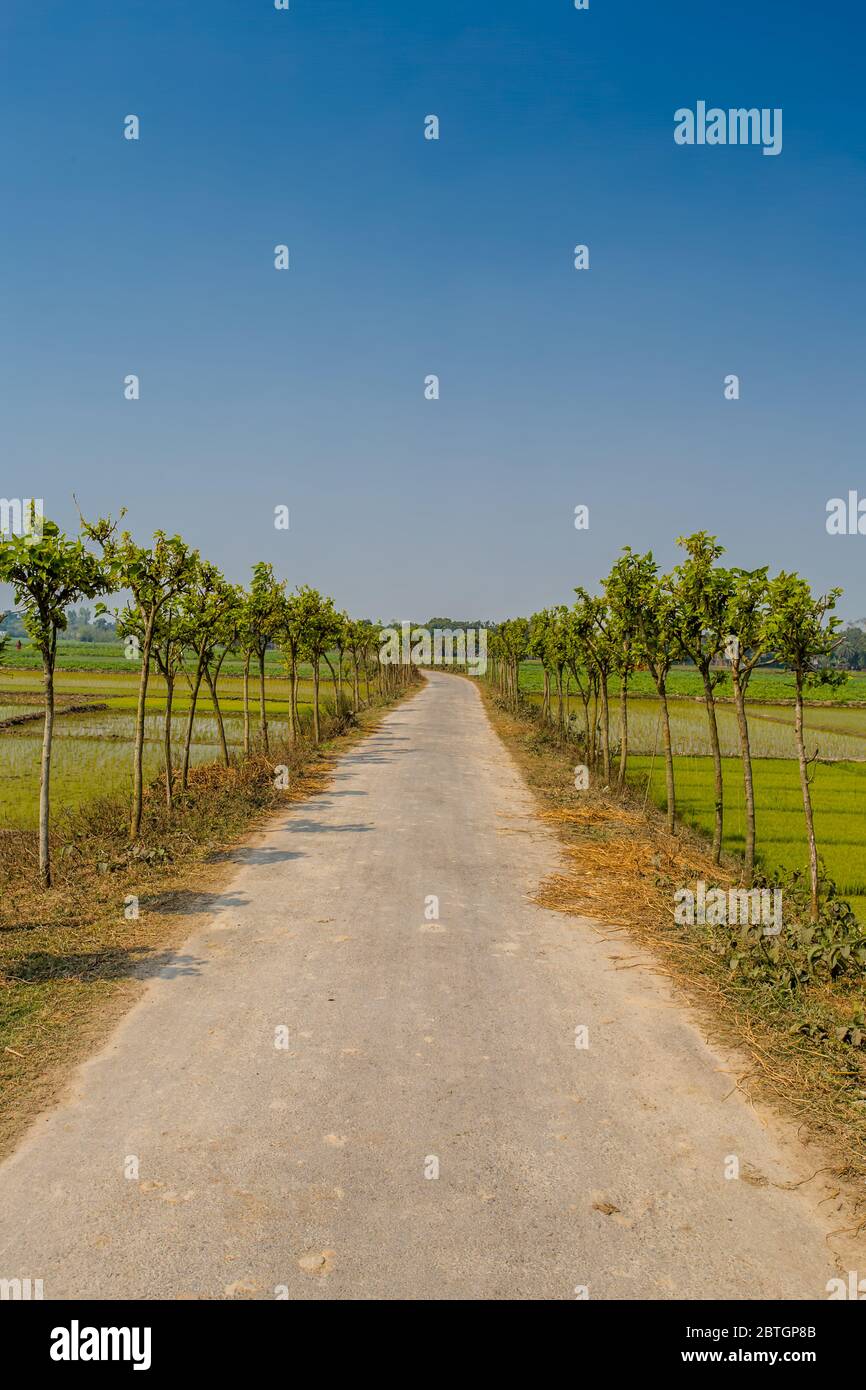 Spectacular water droplets on flowers and leaves Stock Photo - Alamy