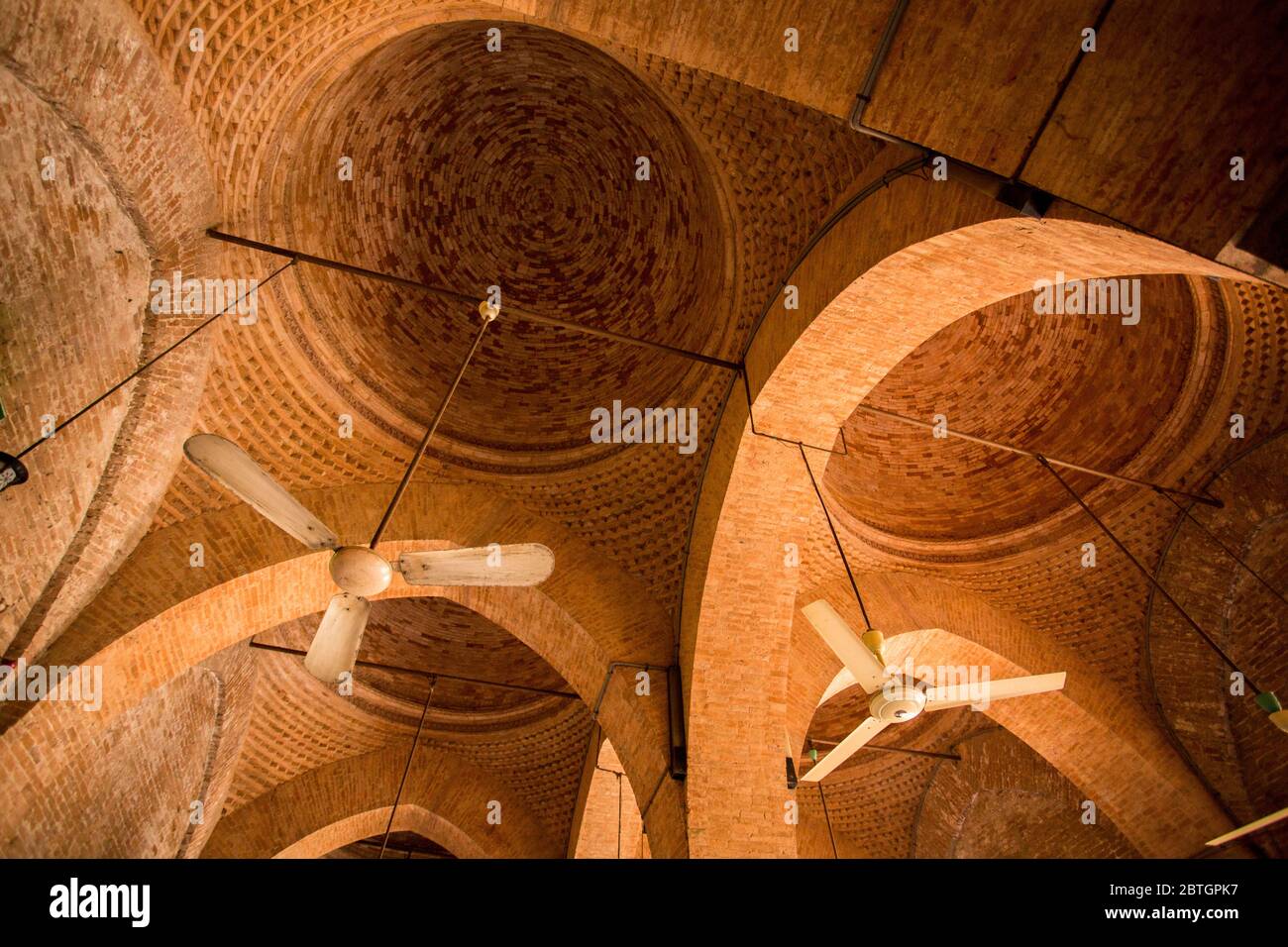 Spectacular water droplets on flowers and leaves Stock Photo - Alamy
