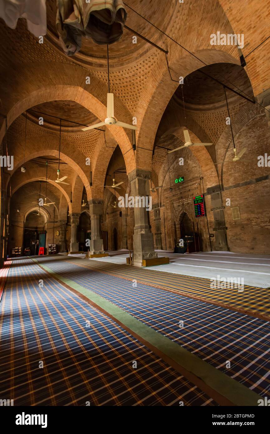 Spectacular water droplets on flowers and leaves Stock Photo - Alamy