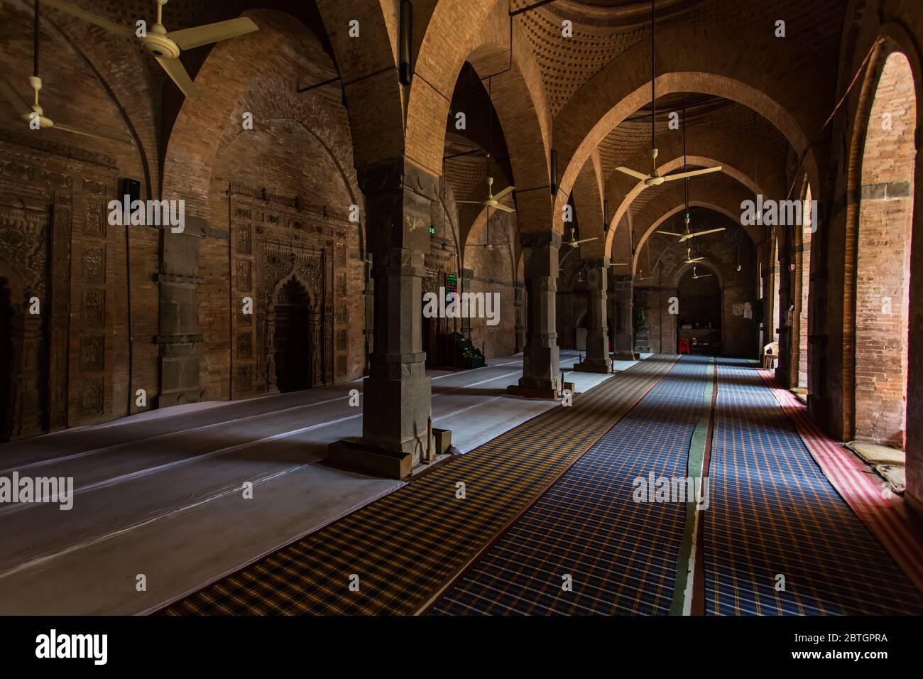 Spectacular water droplets on flowers and leaves Stock Photo - Alamy