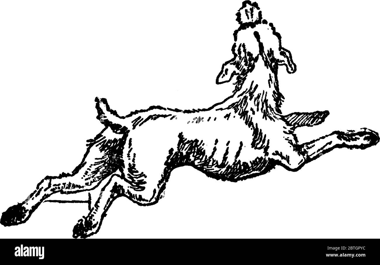 Lifted bark Stock Vector Images - Alamy