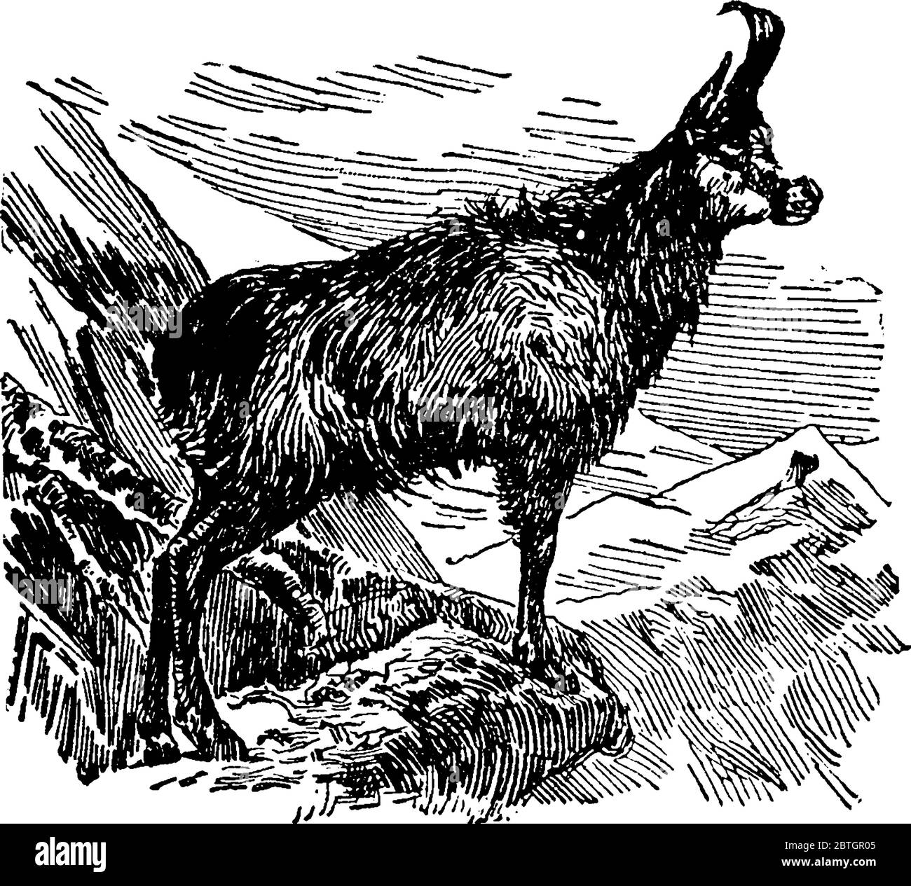 In mountainous regions Cut Out Stock Images & Pictures - Alamy