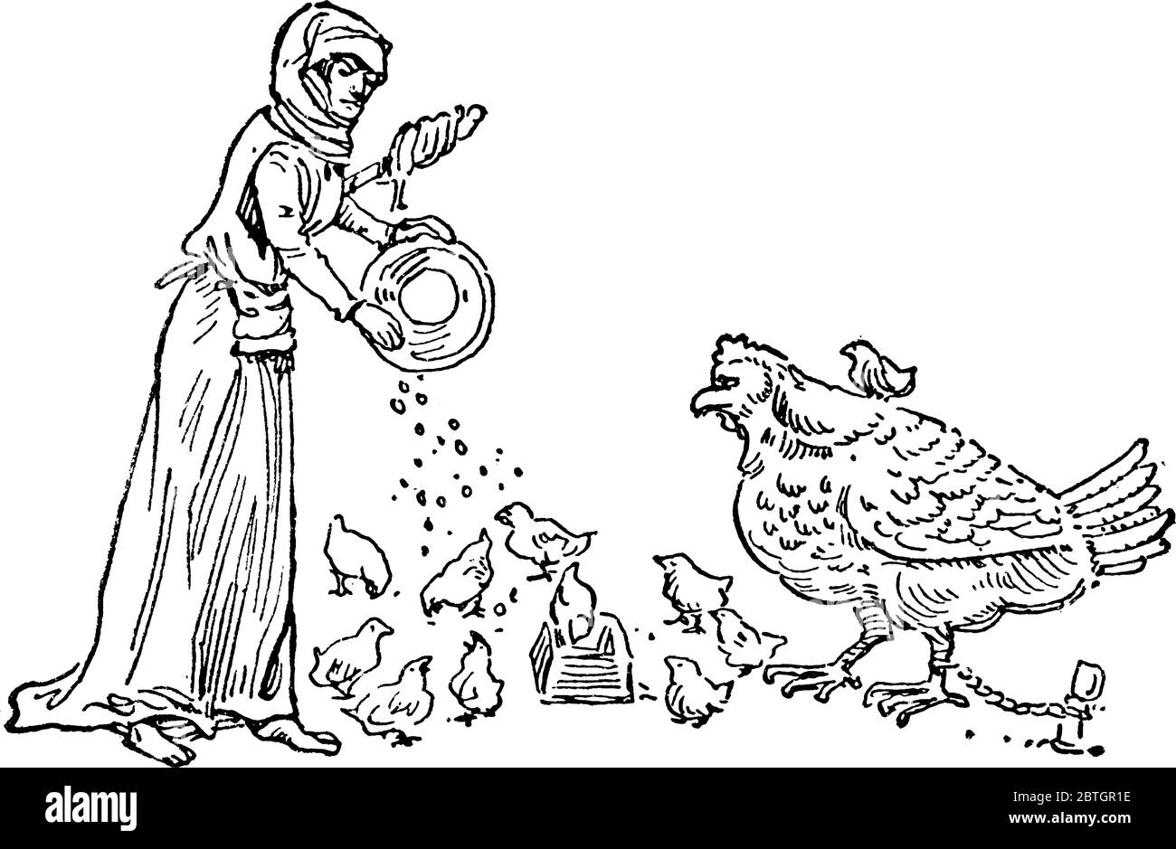 Woman feeding chickens Stock Vector Images - Alamy