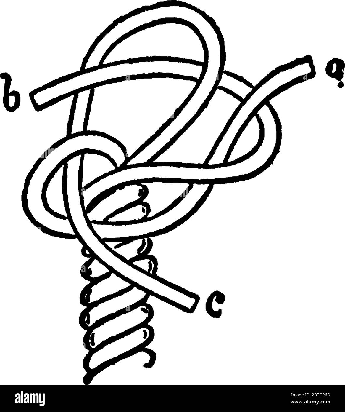 A Single Wall Knot, vintage line drawing or engraving illustration ...