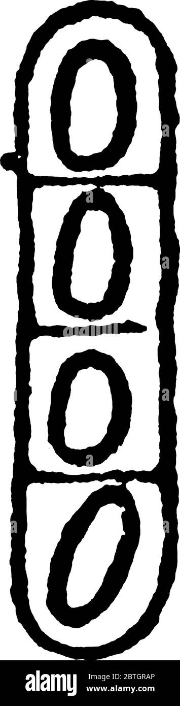 A typical representation of a rodlet segmented in four, each segment ...