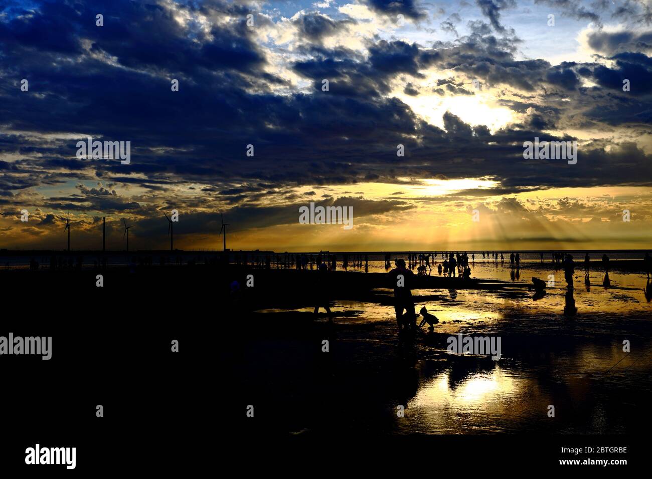 Gaomei wetlands wildlife refuge hi-res stock photography and images - Alamy