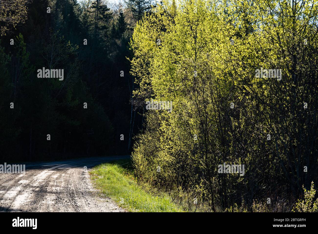Springtime comes to the rural landscape of the state of Vermont, New ...