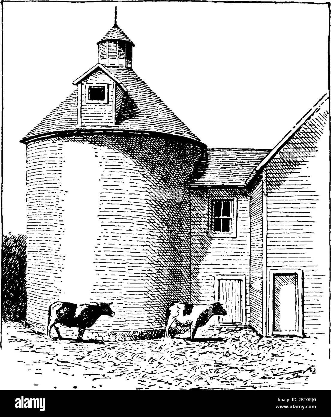 A structure usually next to a barn, for the storage of grain or feed ...