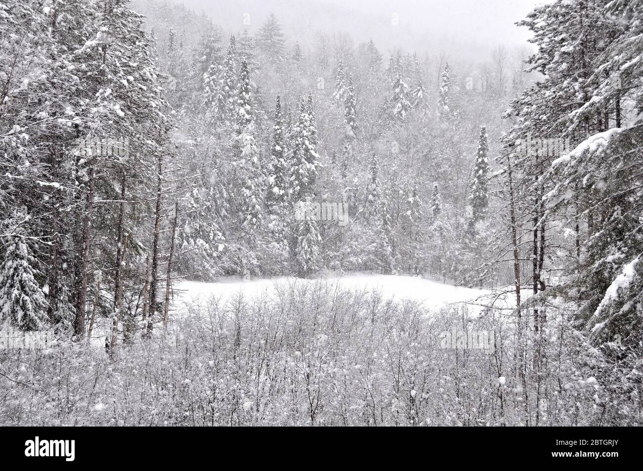 Vermont snow storm hi-res stock photography and images - Alamy
