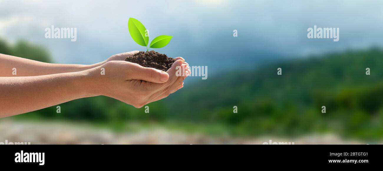 Natural green scenery of cloud and mountain slopes. Female hand holding ...