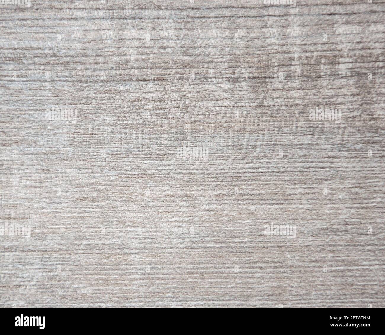 Aged light wood, natural drawing close-up on a cut. Background Stock ...