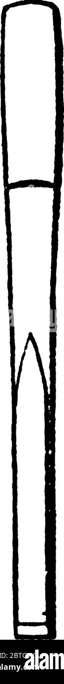 Cone socket Black and White Stock Photos & Images - Alamy