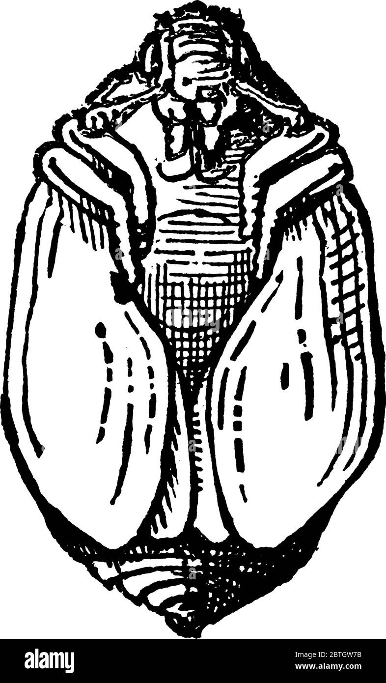 Domestic clothing Stock Vector Images - Alamy