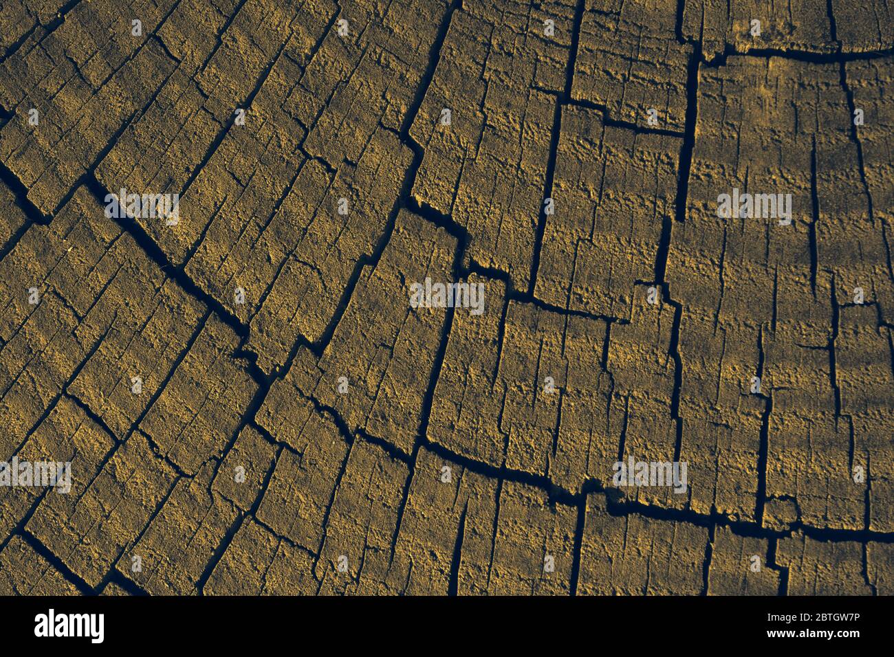 Wood log texture with natural patterns as a background Stock Photo - Alamy