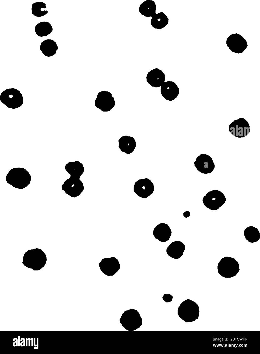A typical representation of the characteristic groups of Micrococci ...