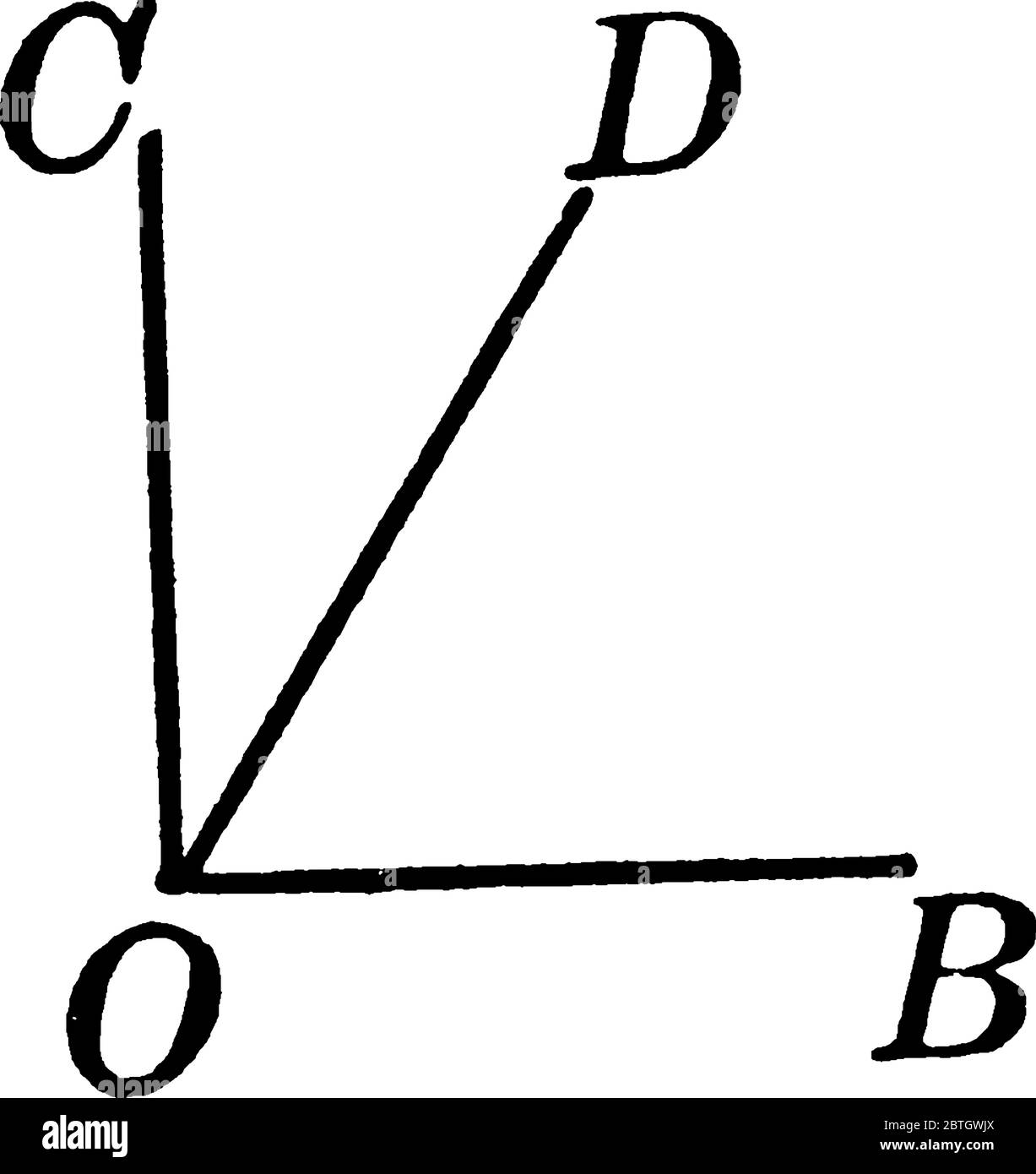Three line OC, OD, and OB having common vertex, vintage line drawing or ...