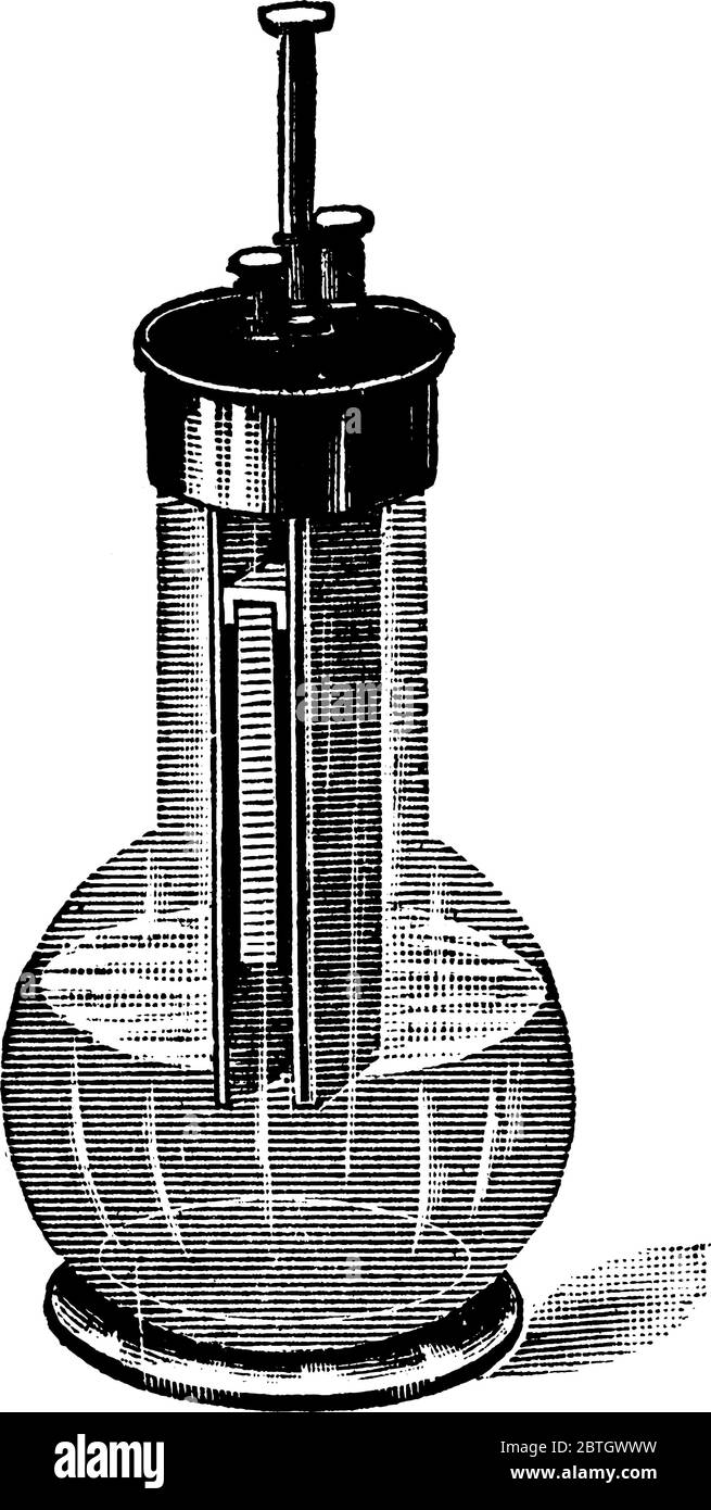 Between cells Cut Out Stock Images & Pictures - Alamy