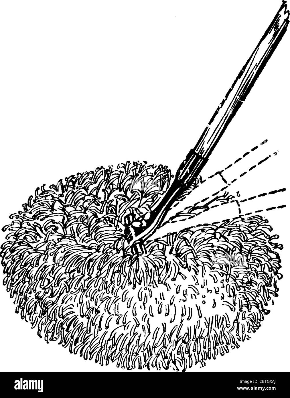 Dust threads Stock Vector Images - Alamy