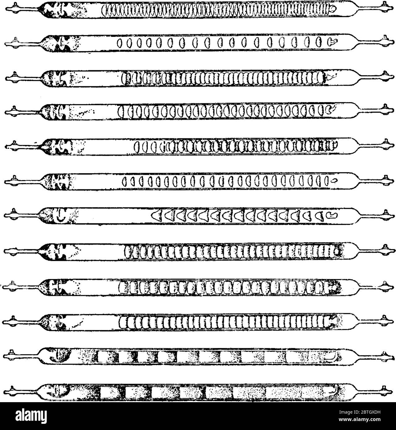 An illustration of various forms of striated discharge, vintage line ...