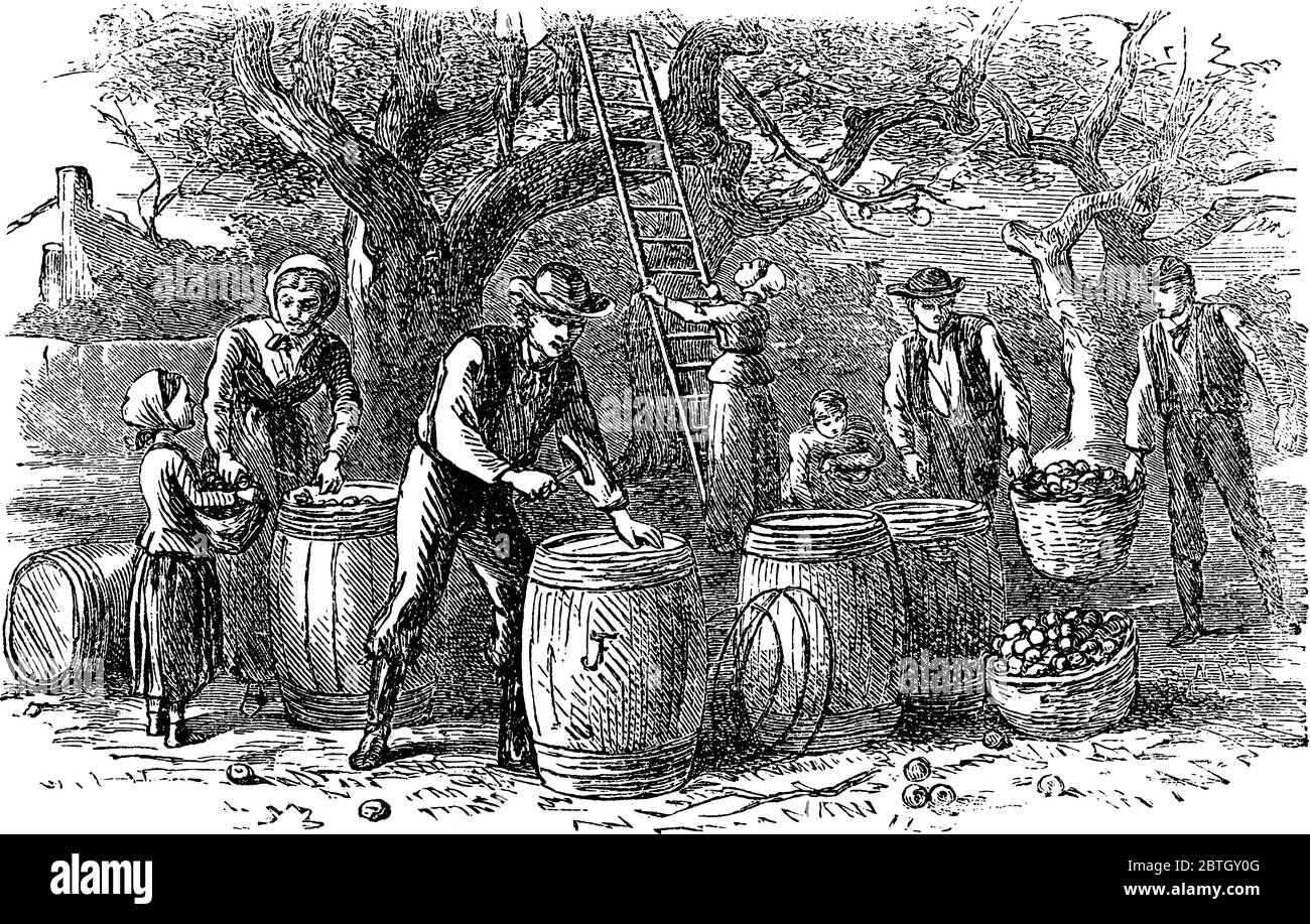 Vintage crates Stock Vector Images - Alamy