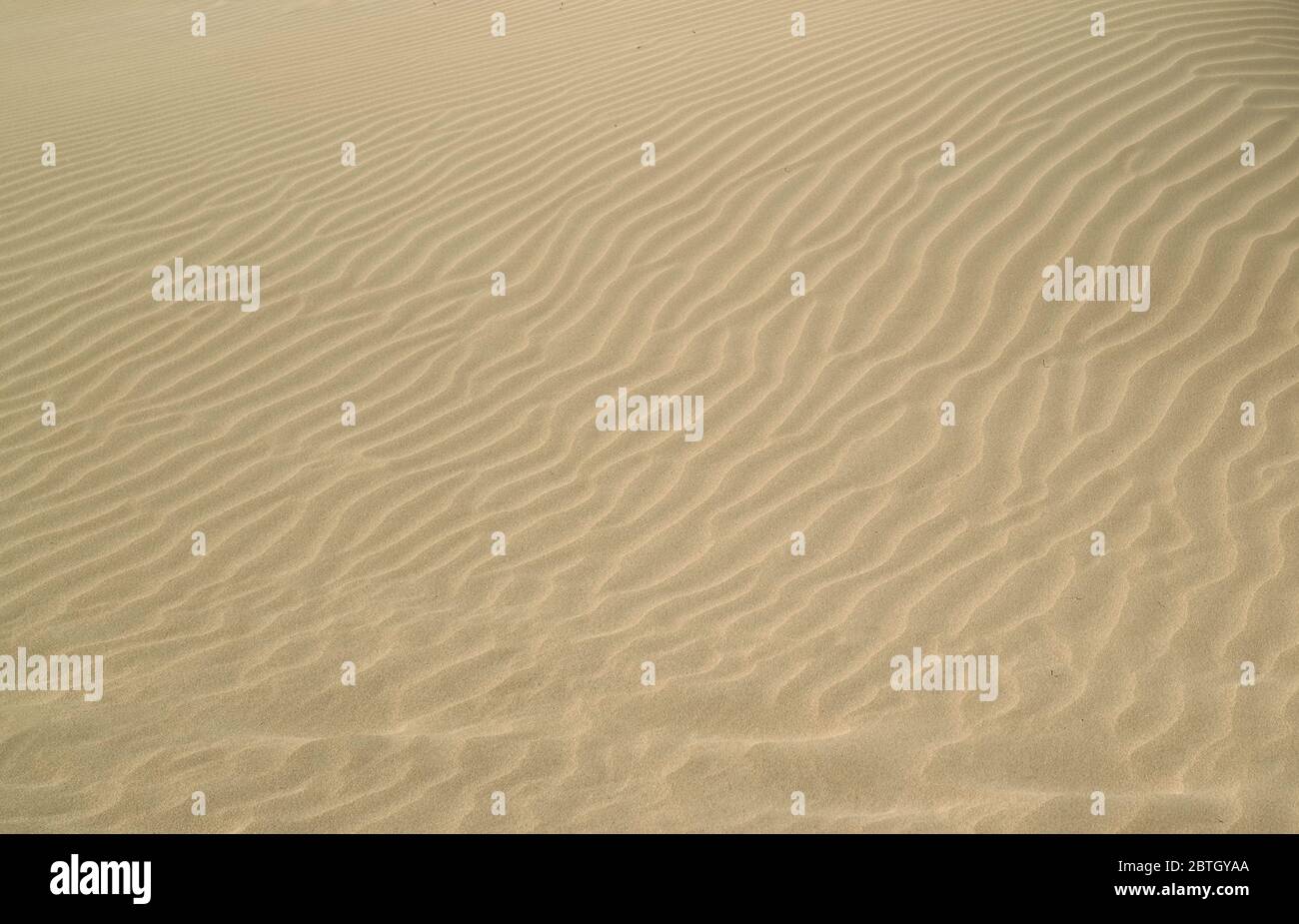Artistic pattern of sand ripples on the beach Stock Photo - Alamy