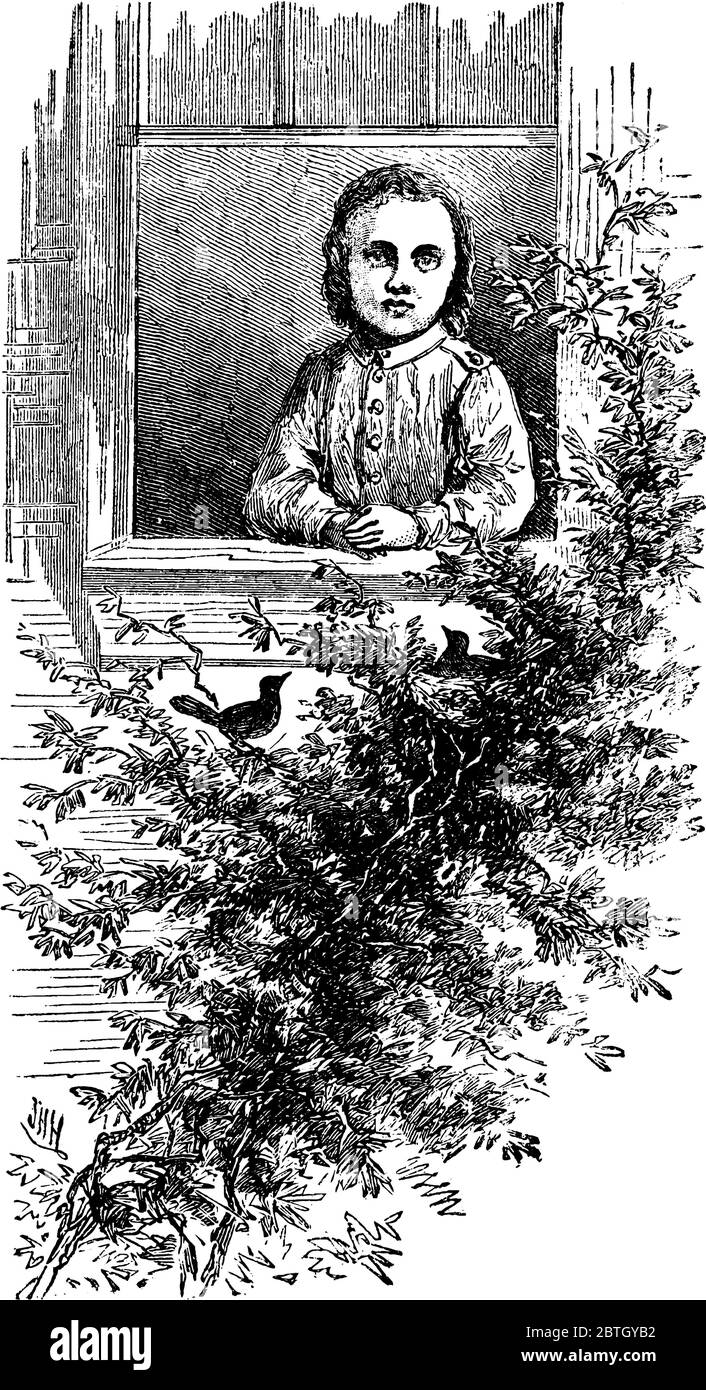 Lonely Girl Sketches