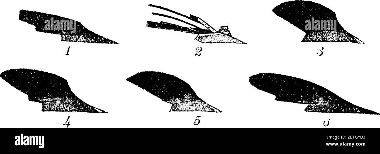 Different shapes of Moldboard plow, vintage line drawing or engraving ...