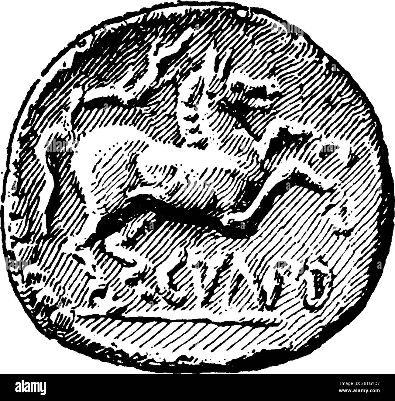 Julius Caesar Coin Drawing