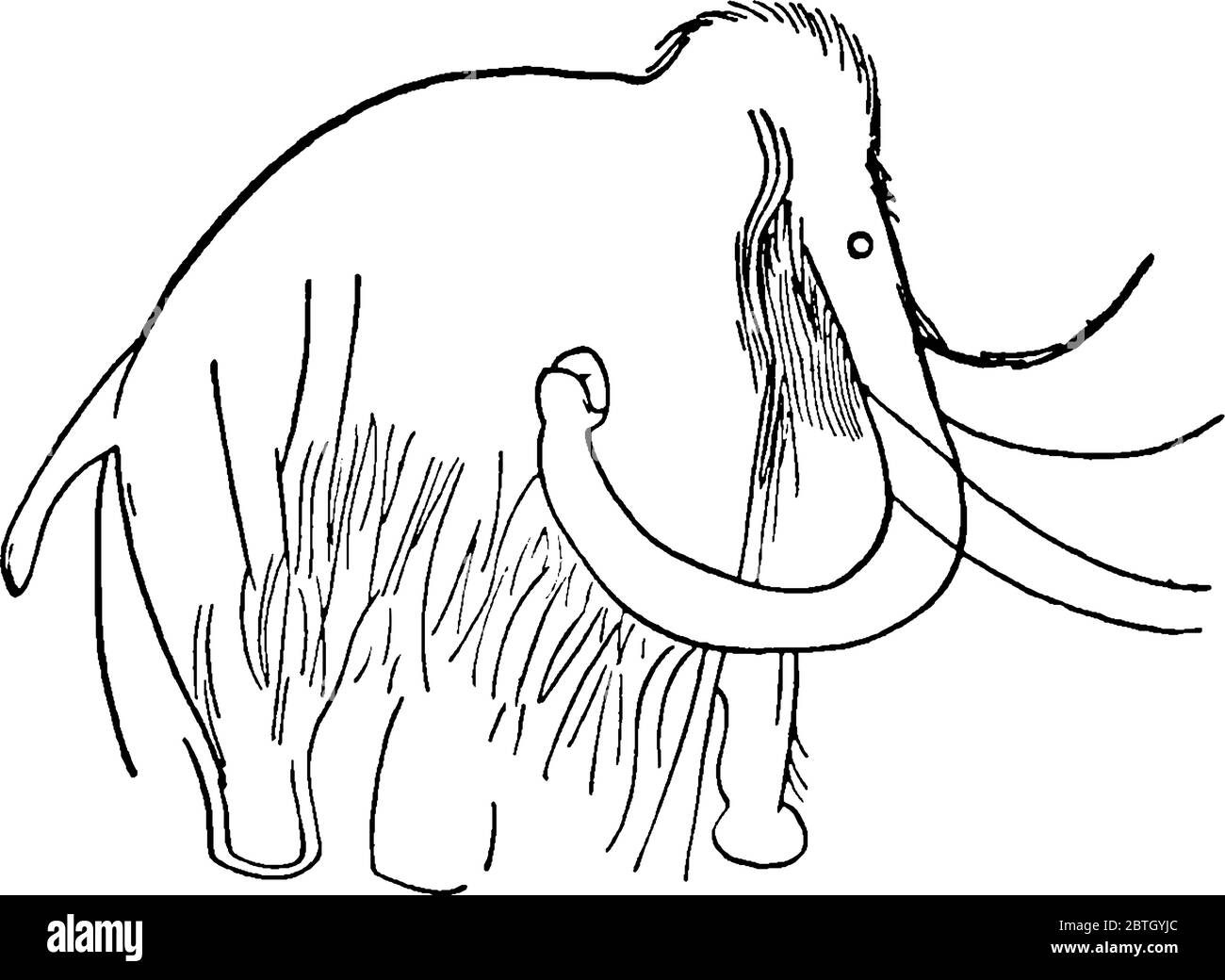 Art in frame on wall Black and White Stock Photos & Images - Alamy