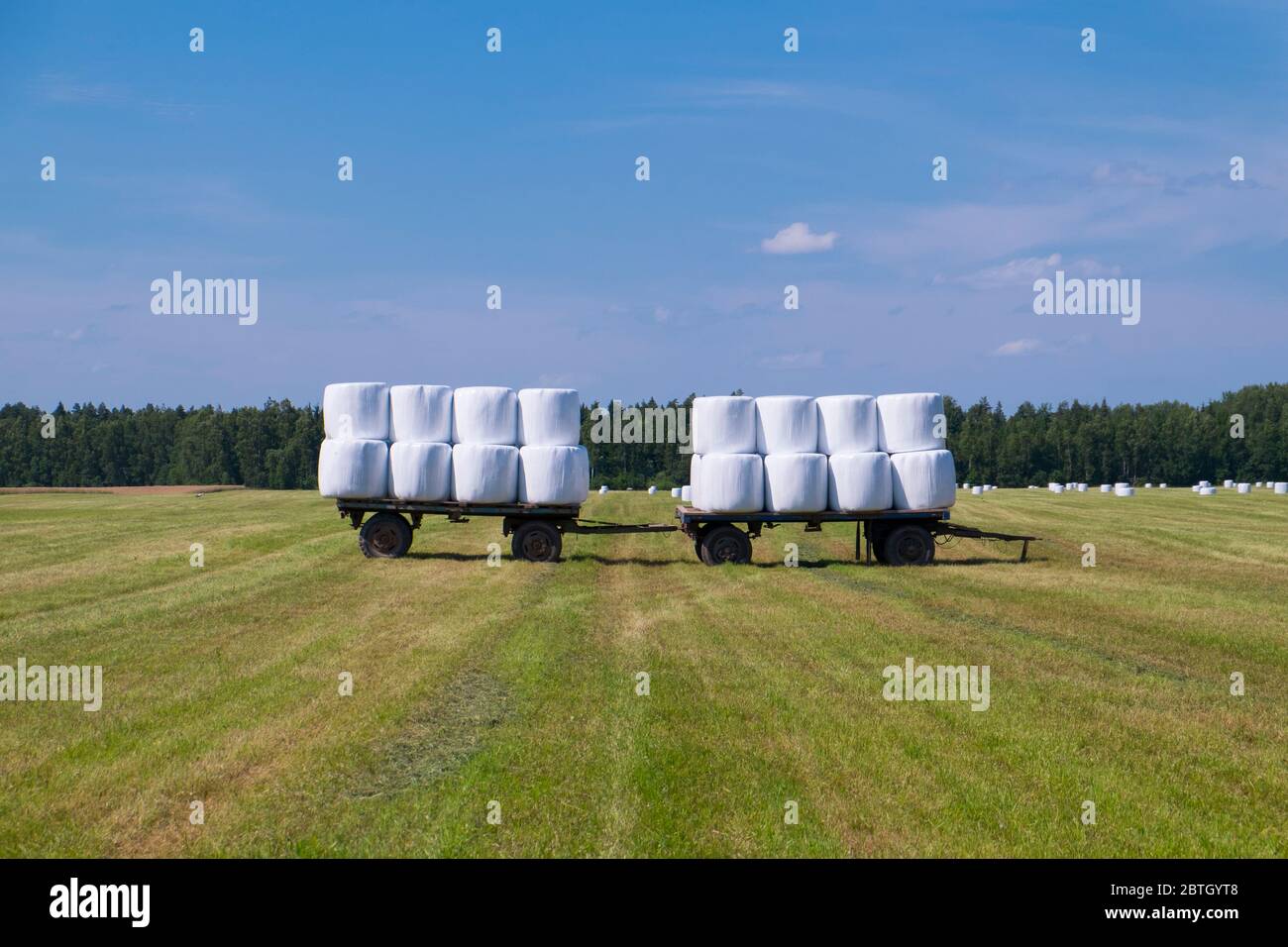 Plastic hay rolls hi-res stock photography and images - Alamy