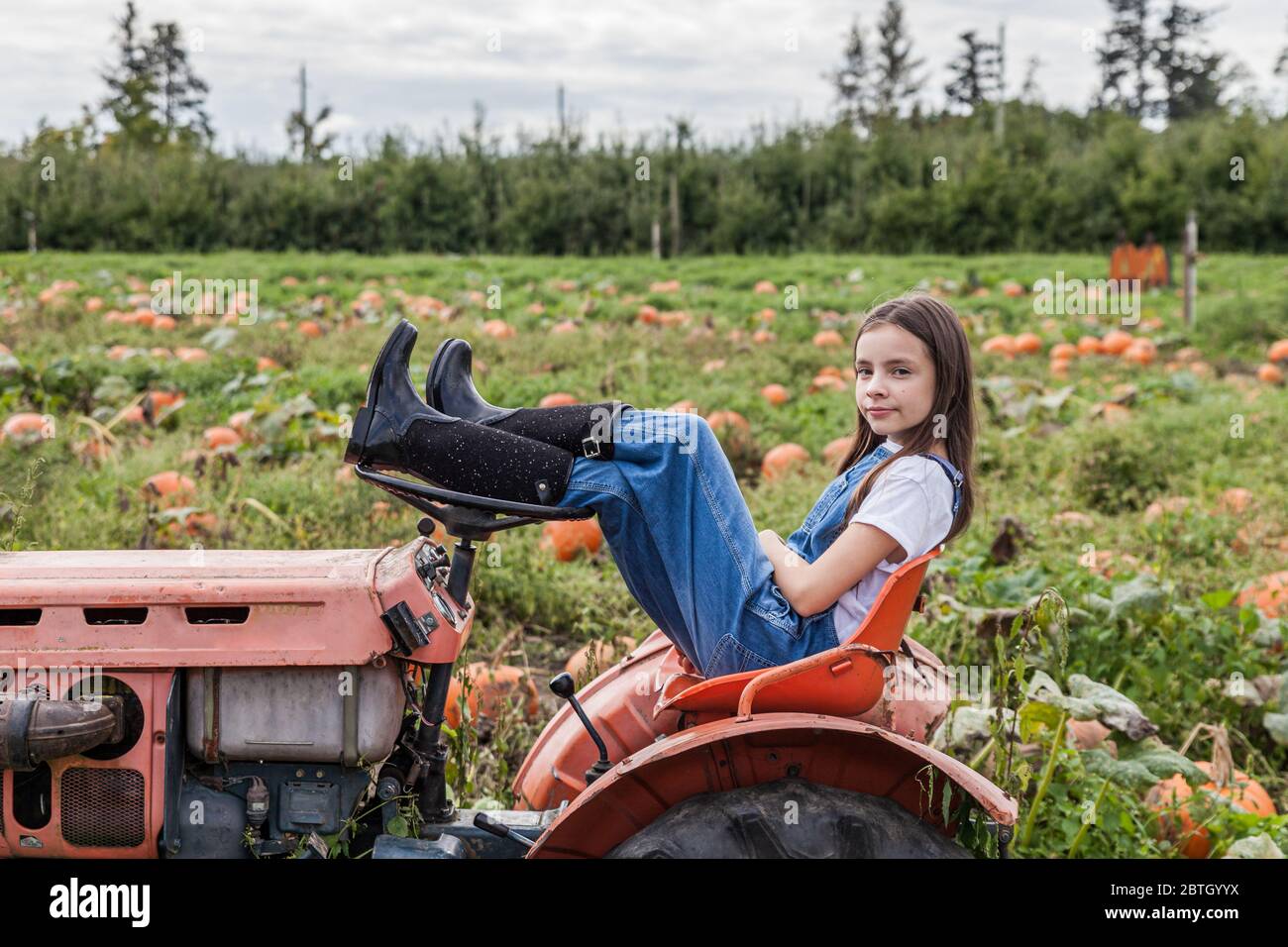 Young girl sitting on tractor in a green farm field Stock Photo - Alamy