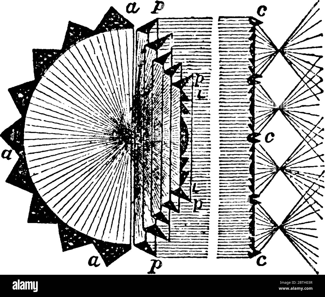 Rays of light on black Stock Vector Images - Alamy