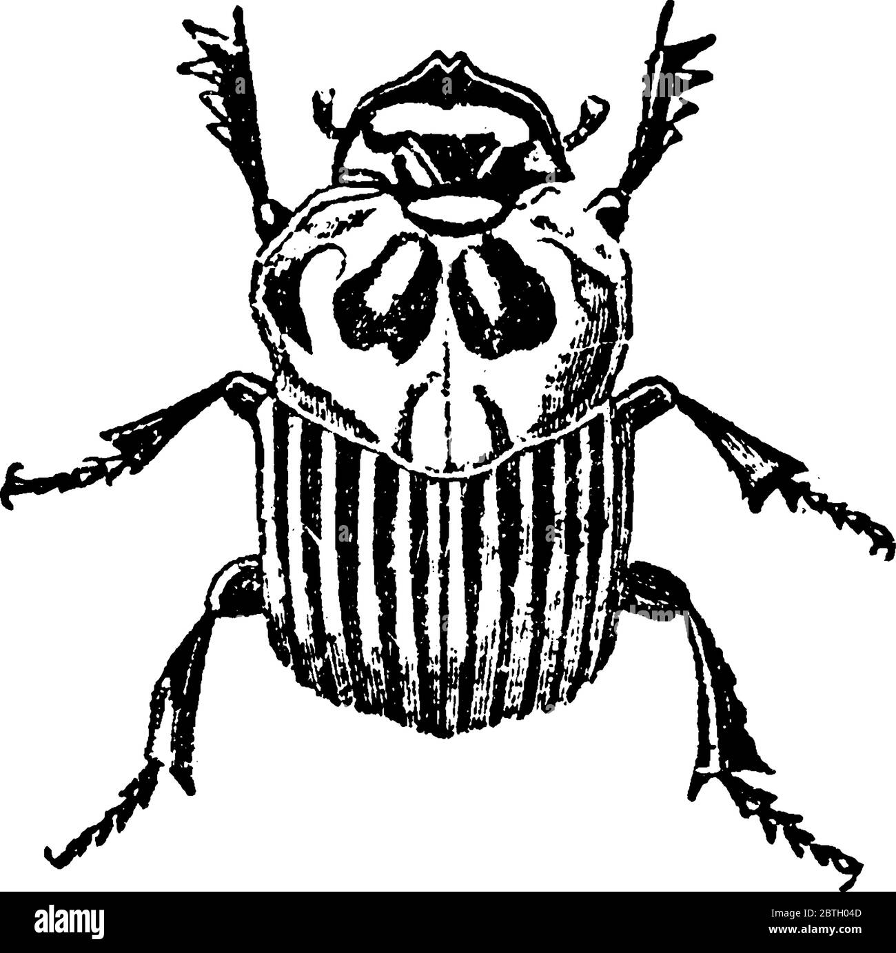 Black white reflections Stock Vector Images - Alamy