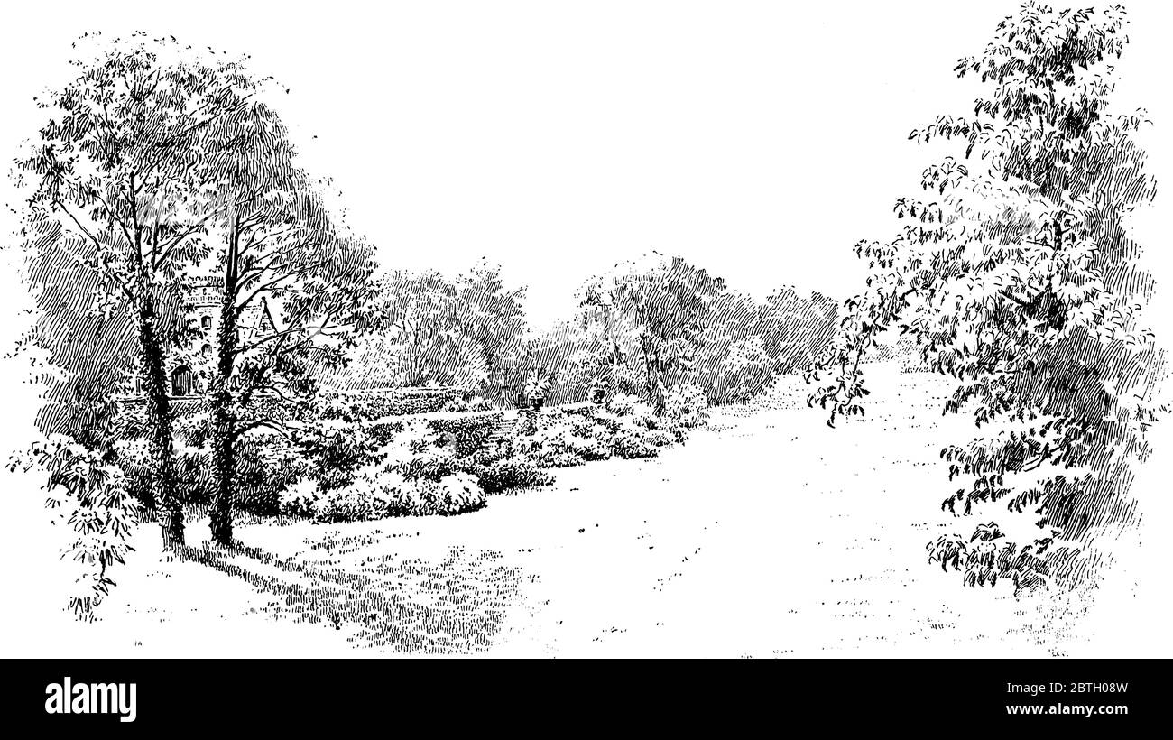 Image showing huge plantation giving a park like effect, vintage line ...