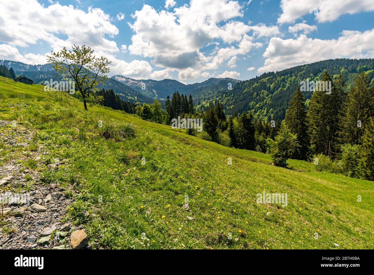 Gunzesried valley hi-res stock photography and images - Alamy