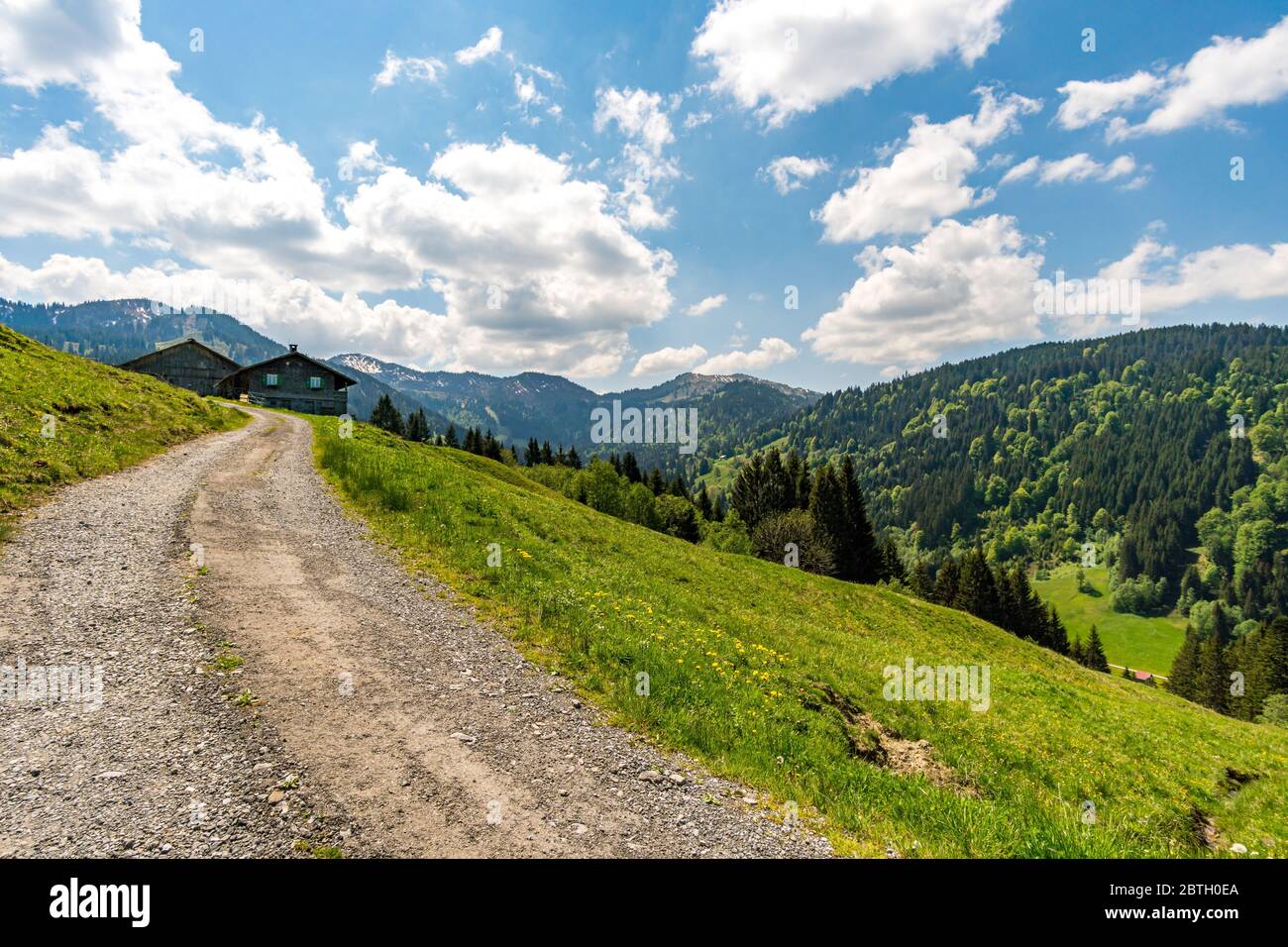 The beautiful Gunzesried valley in the Allgau, near Blaichach ...
