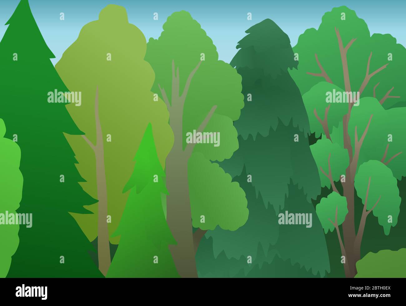 Forest tree wall, vector cartoon color illustration, horizontal Stock ...