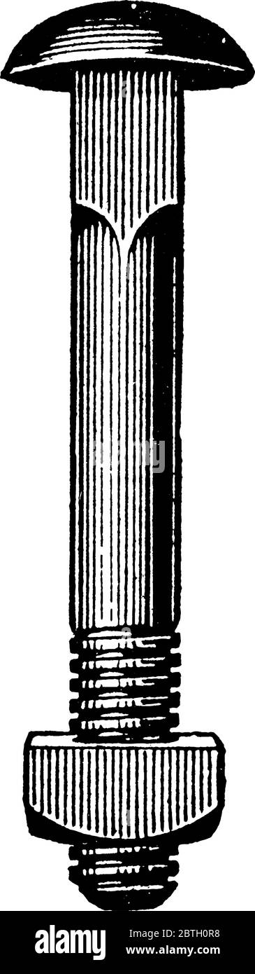 Bolt with Dome shaped head, square body under head and round body in ...
