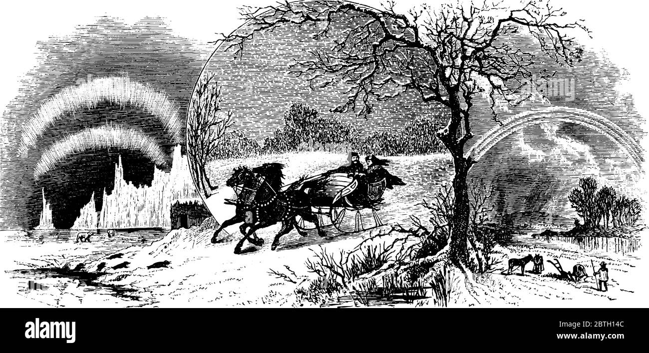 Collage showing different atmosphere of rain, snow, animals, vintage ...