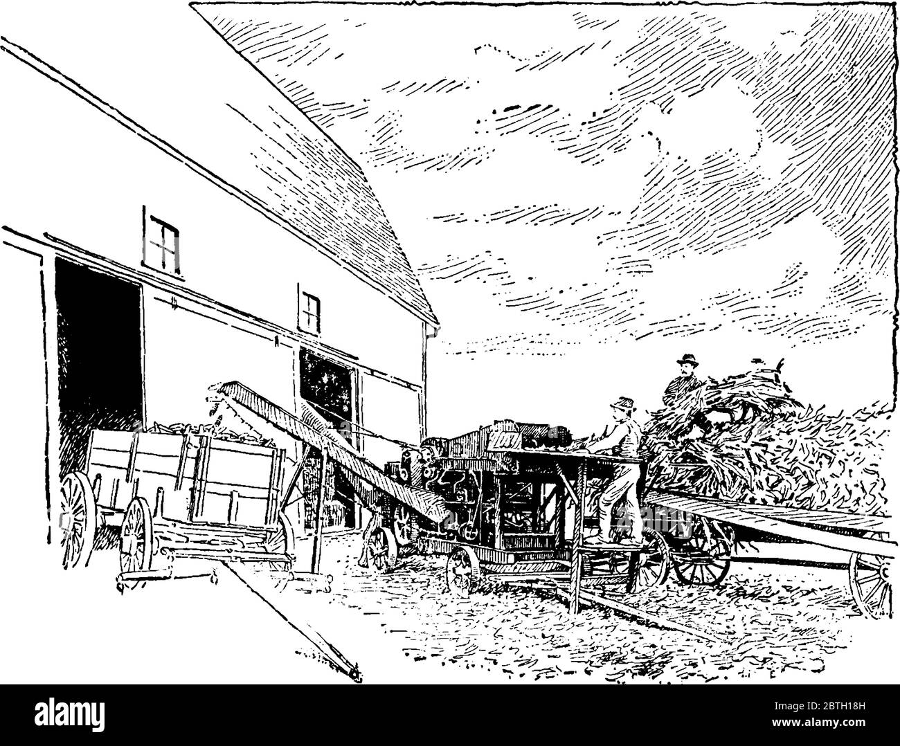 Corn husking Stock Vector Images - Alamy