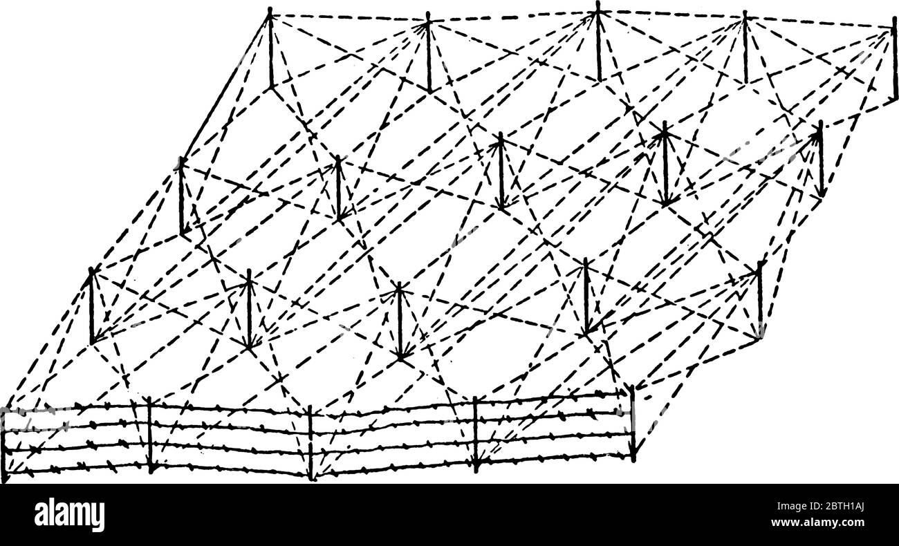 A typical representation of high wire entanglement, the stakes average ... A typical representation of high wire entanglement, the stakes average ...