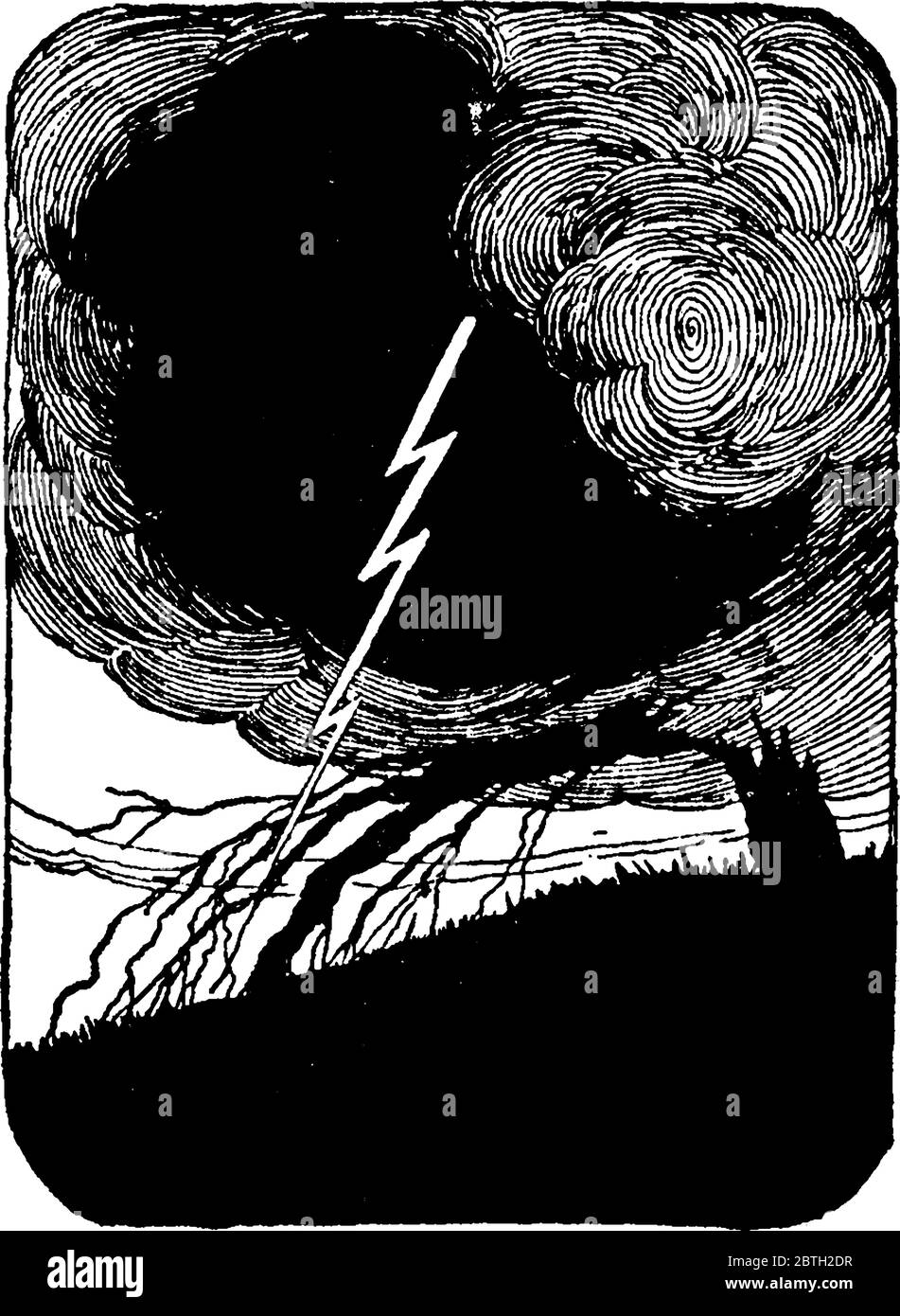 Figure showing a lightning bolt during thunderstorm destroyed a tree ...