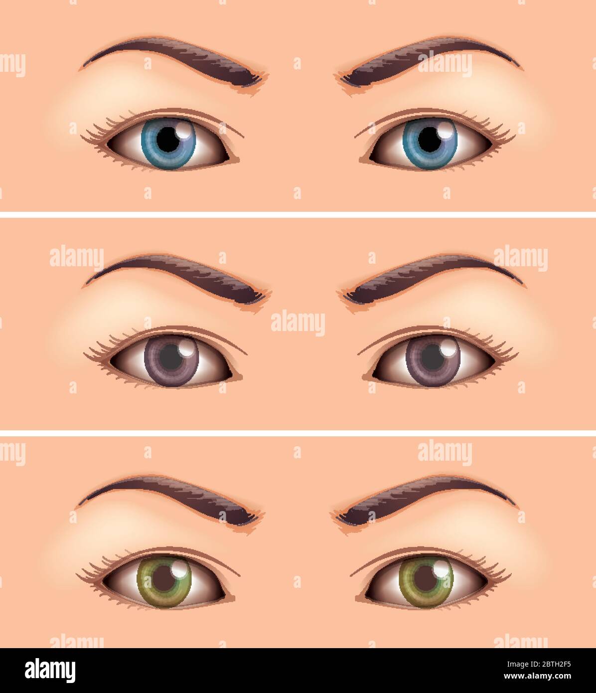 Set if human close up eyes area illustration Stock Vector Image & Art ...