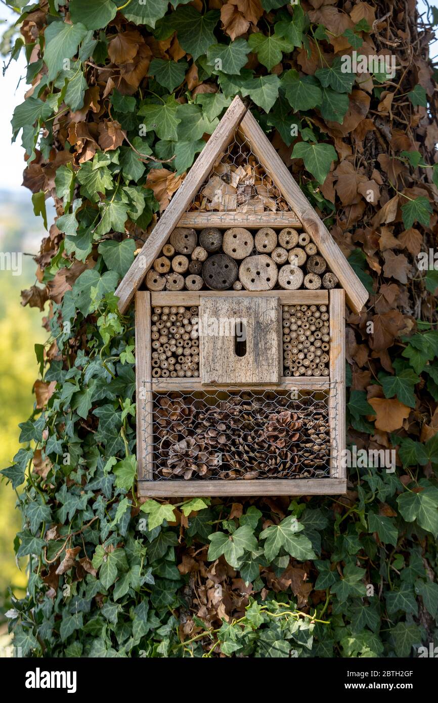 Small wooden house for insects in garden Stock Photo - Alamy
