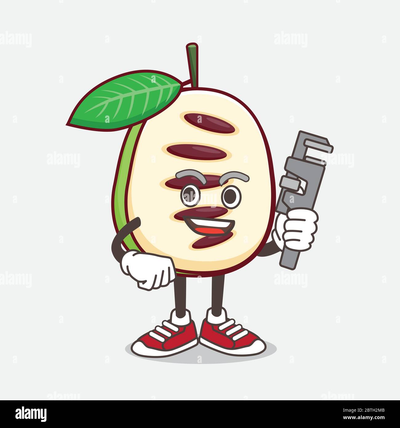 An illustration of Pawpaw Fruit cartoon mascot character as happy ...