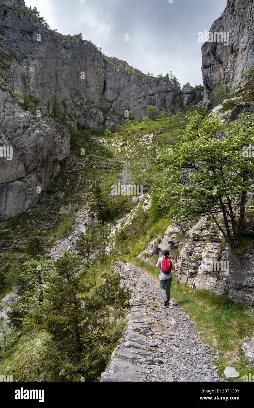 Female hiker on mountain pathway, Ligurian Alps, Italy Stock Photo - Alamy
