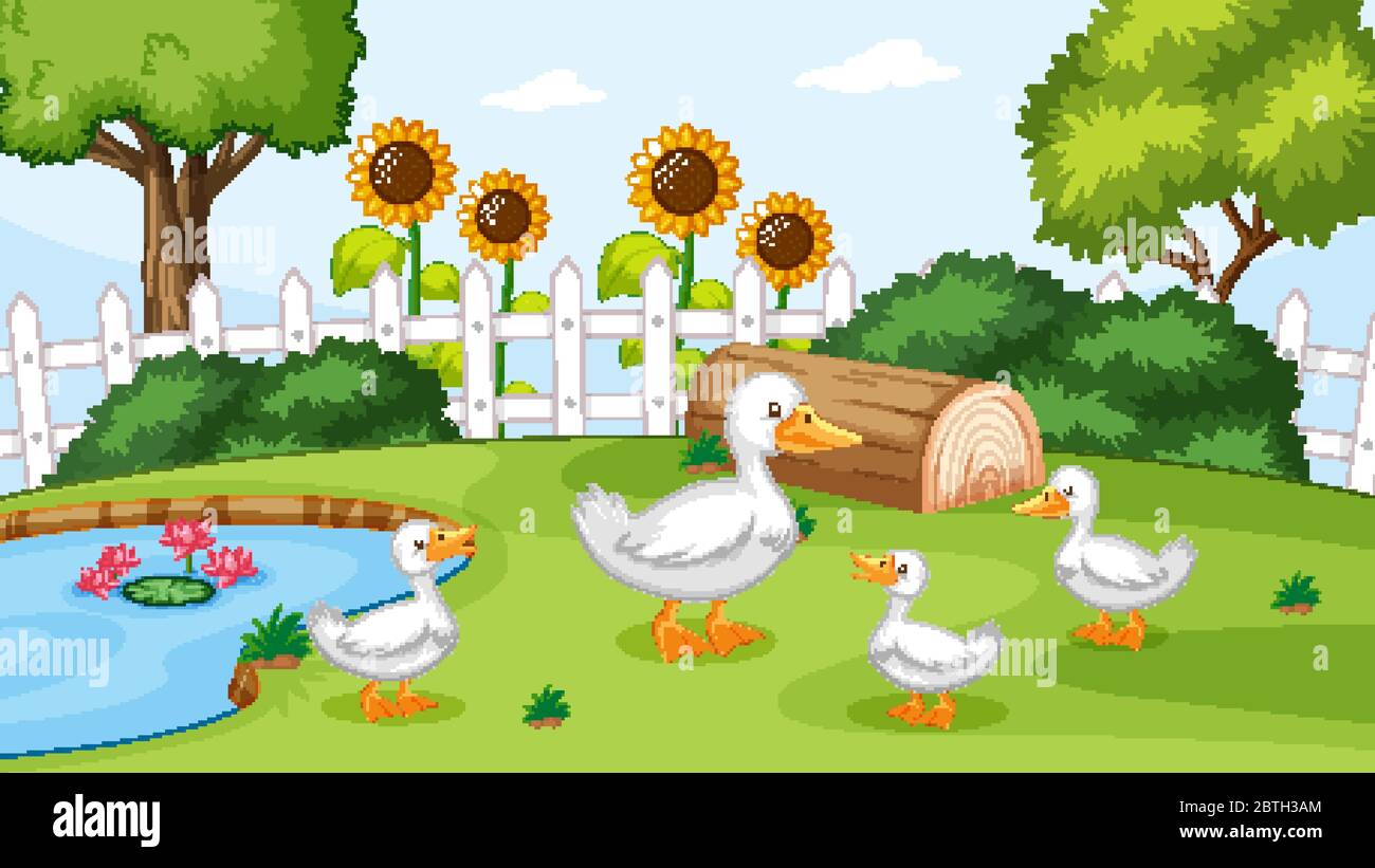 Duck at the pond illustration Stock Vector Image & Art - Alamy